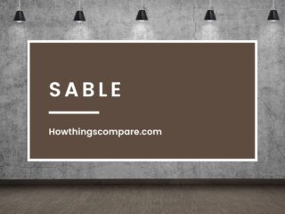 11 Shades Of Dark Brown Paint Colors: Comparison Guide - Paint Color ...