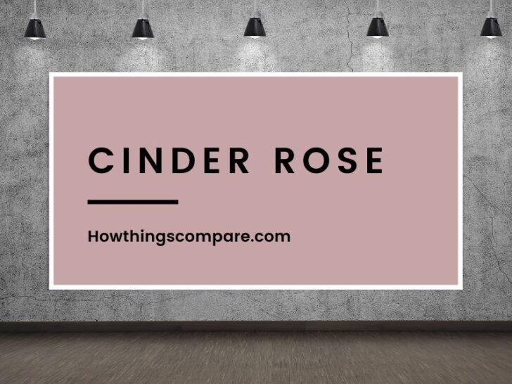 Cinder Rose vs Sulking Room Pink: Paint Colors Compared - Paint Color ...