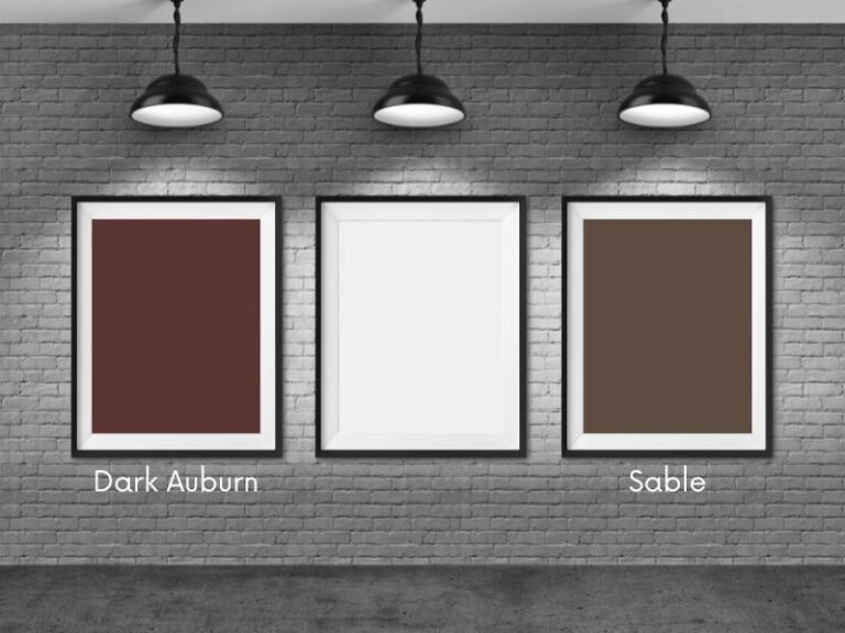 11 Shades Of Dark Brown Paint Colors: Comparison Guide - Paint Color ...