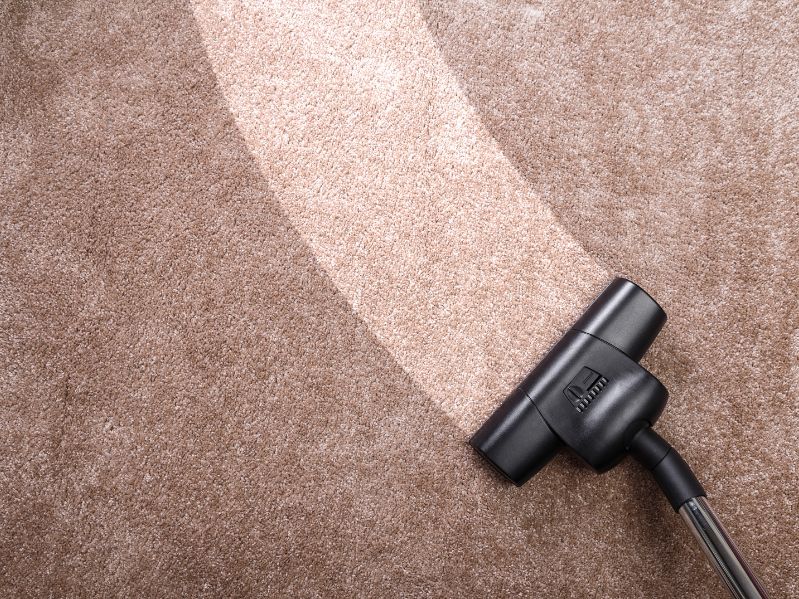 8 Best Carpet Colors For White Walls: Top Choices - Paint Color ...