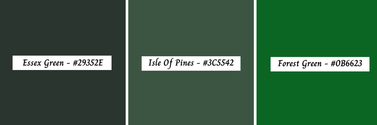 21 Eye-Catching Front Door Paint Colors - Paint Color Comparisons & Guides