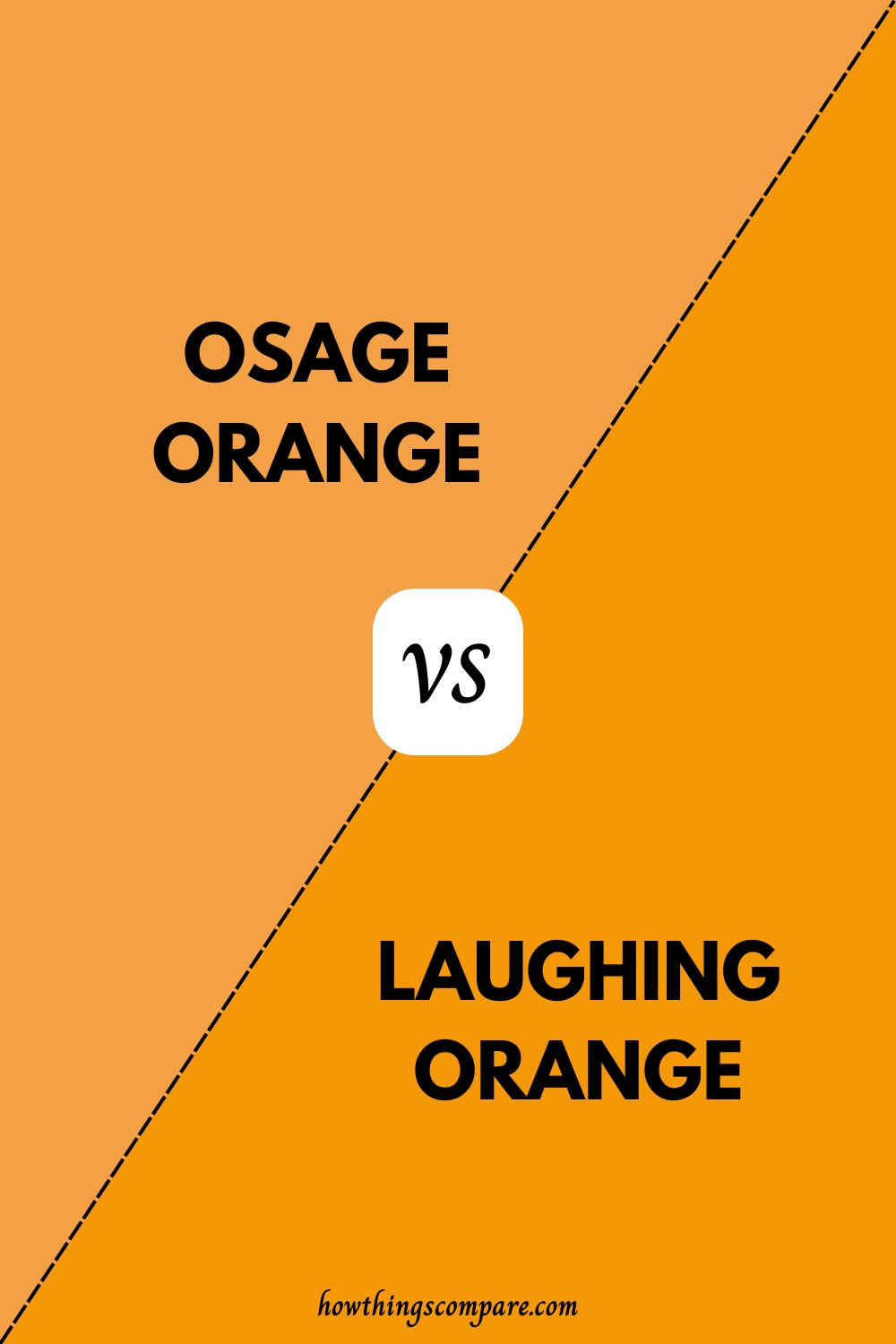 7 Stunning Orange Paint Colors From Sherwin Williams - Paint Color ...