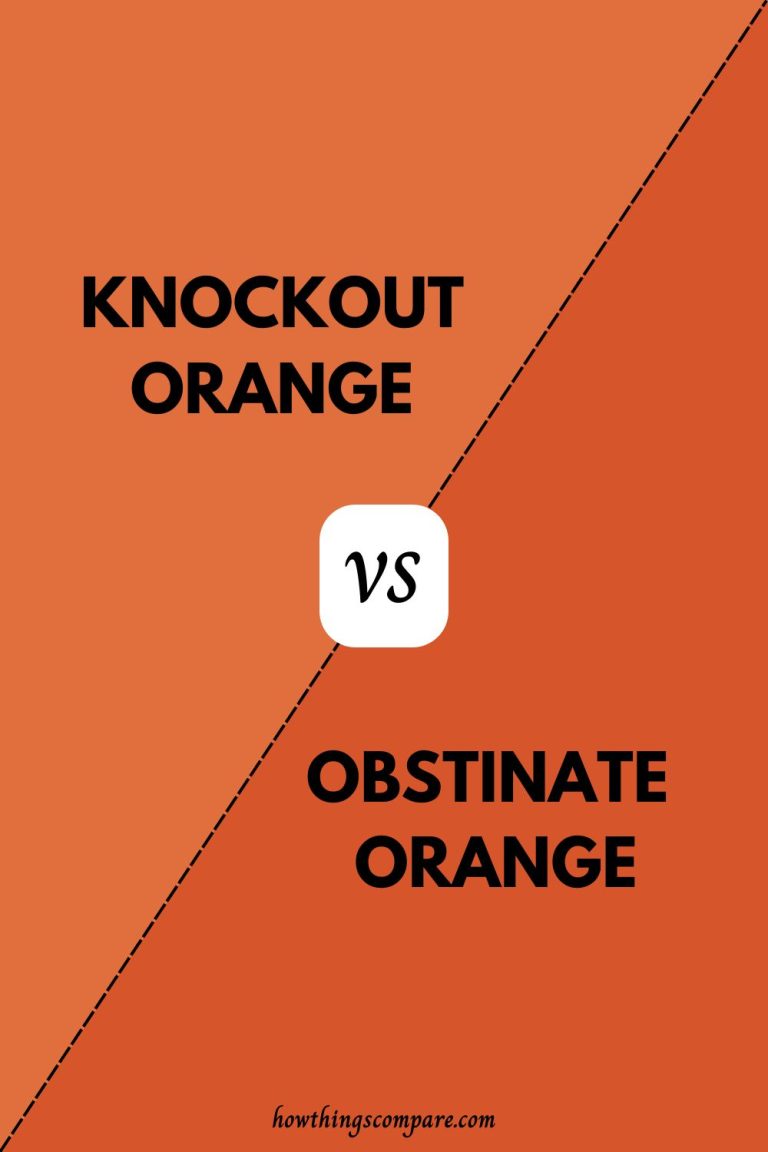 7 Stunning Orange Paint Colors From Sherwin Williams - Paint Color ...